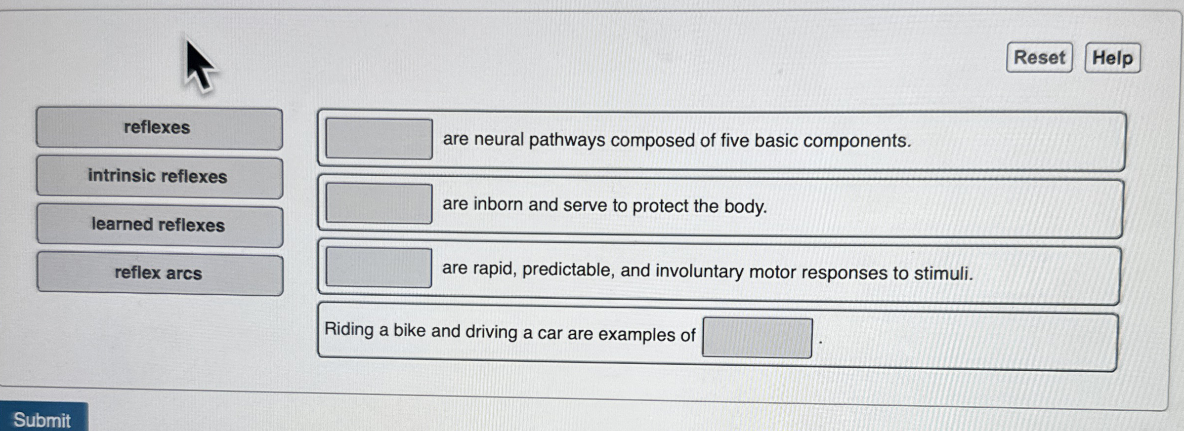 High Quality SOLUTION reflexesintrinsic reflexeslearned reflexesreflex ...