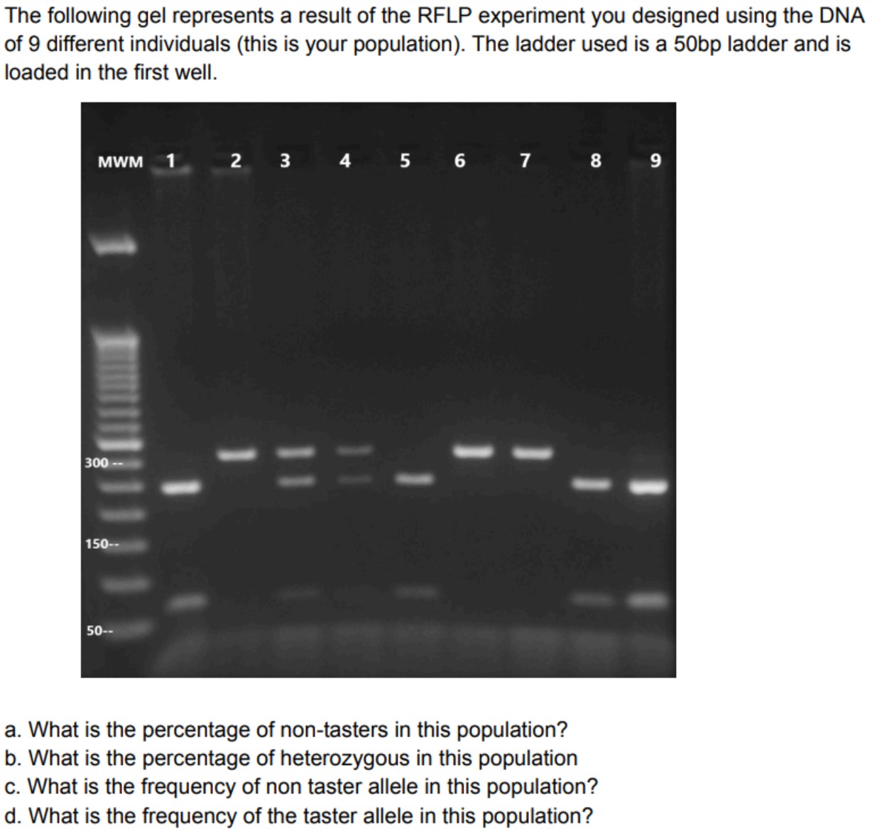 Solved The following gel represents a result of the RFLP | Chegg.com