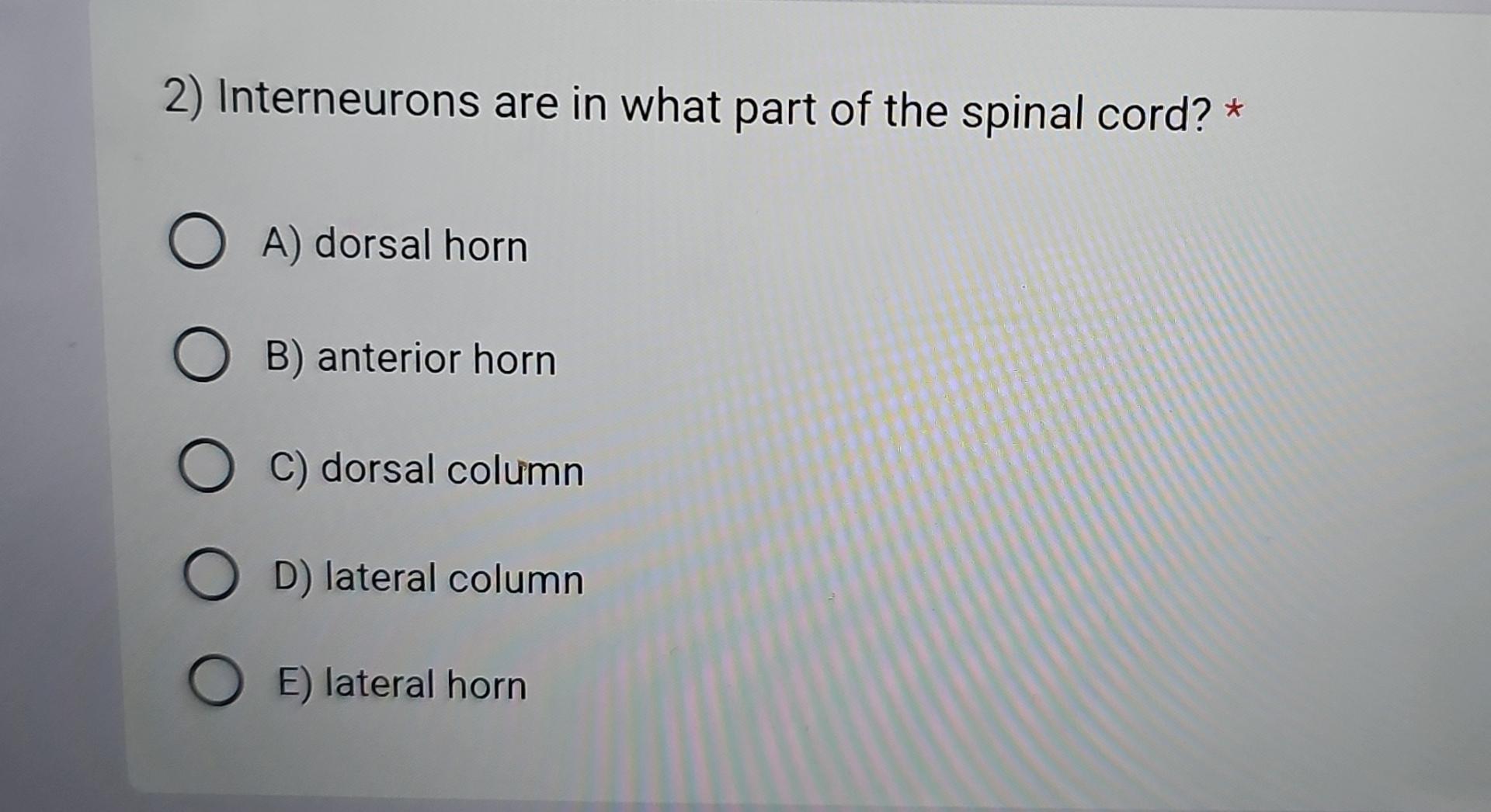 Solved Interneurons are in what part of the spinal cord? *A) | Chegg.com