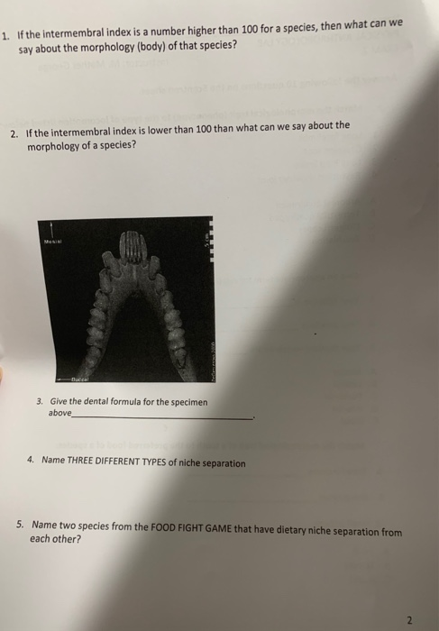 Solved 1. If the intermembral index is a number higher than | Chegg.com