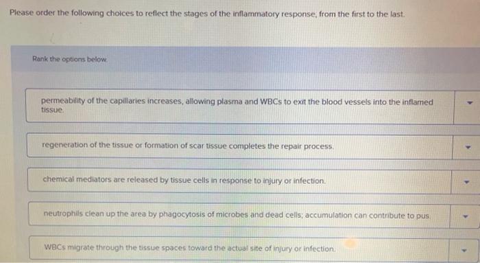 Solved Please order the following choices to reflect the | Chegg.com