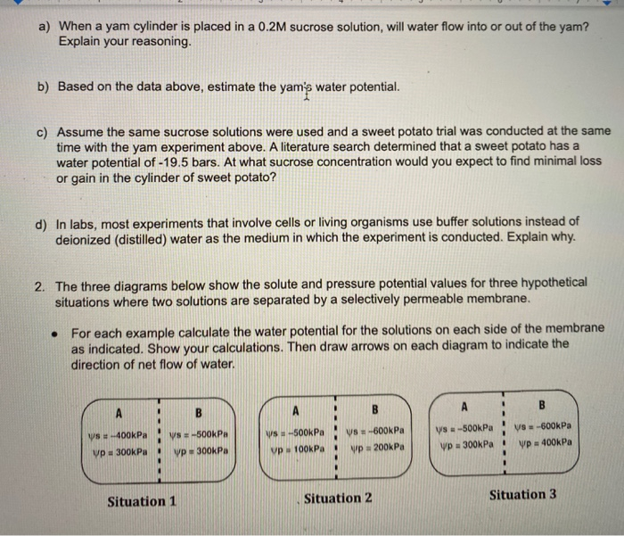 Solved Solve the following problem. 1. In a water potential | Chegg.com