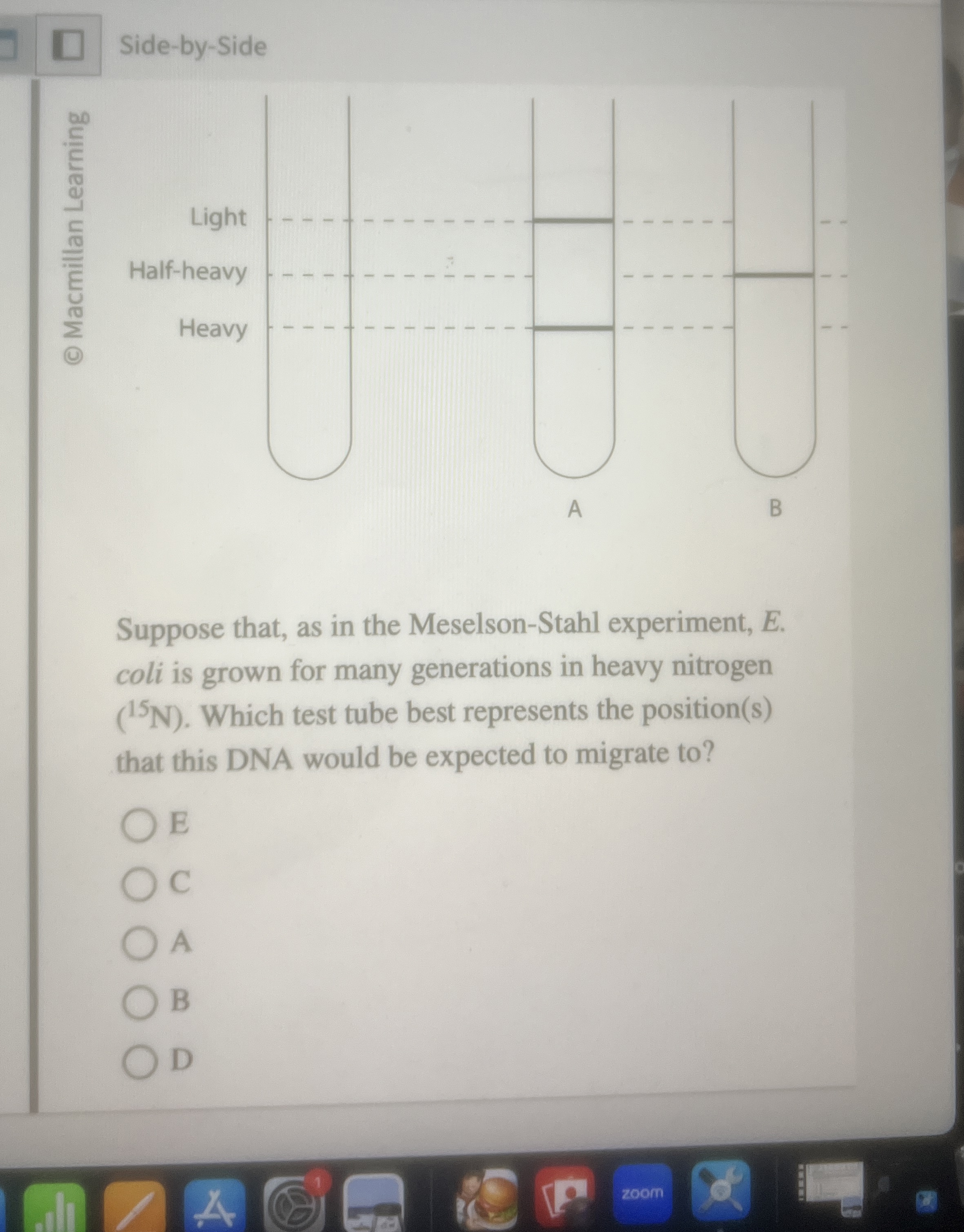 Solved Side-by-SideSuppose that, as in the Meselson-Stahl | Chegg.com