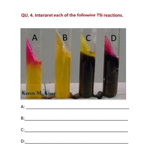 Solved QU. 4. Interpret each of the following TSI reactions. | Chegg.com
