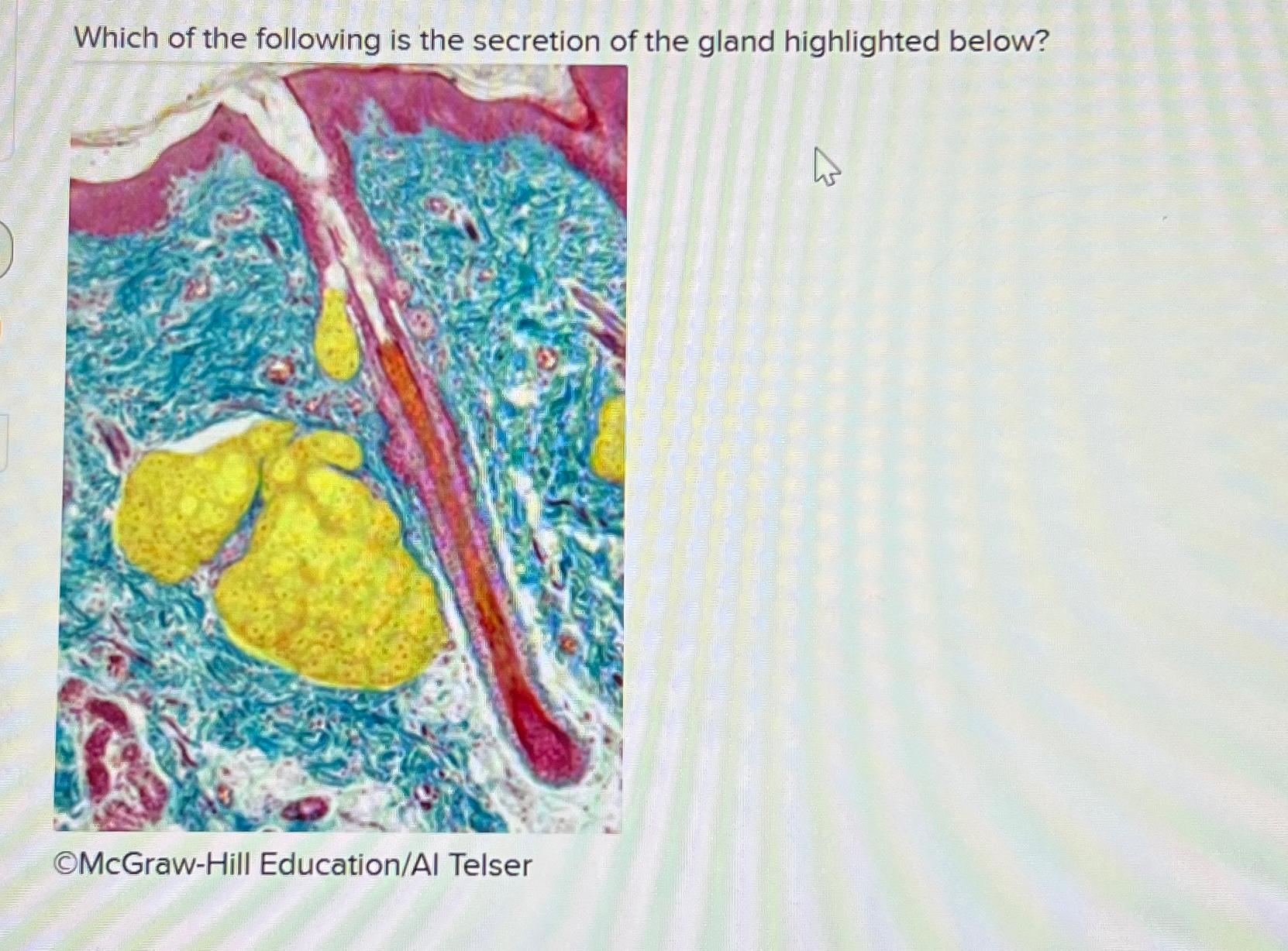 Solved Which of the following is the secretion of the gland | Chegg.com