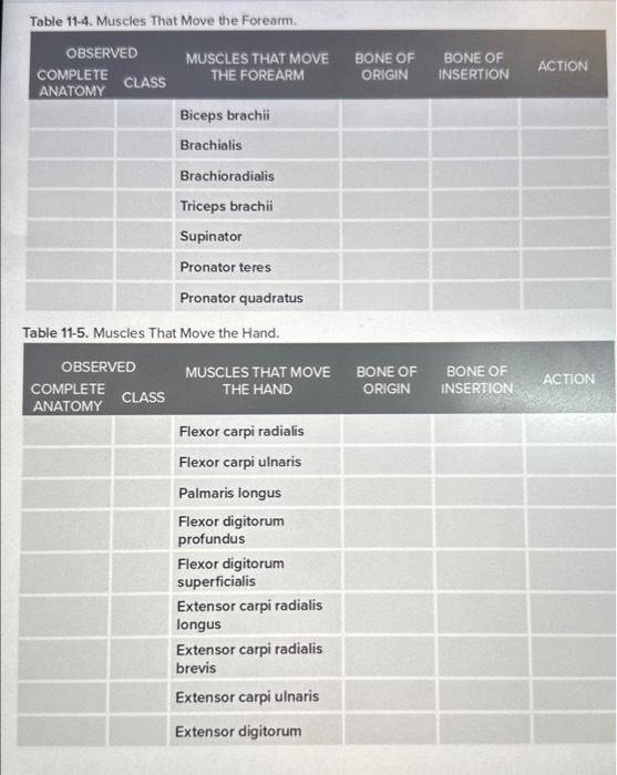 Solved Table 11-4. Muscles That Move the Forearm. Table | Chegg.com