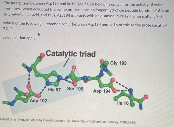 Solved The interaction between Asp 194 and Ile16 (see figure | Chegg.com
