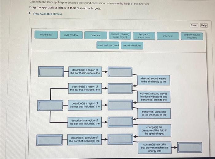 Solved Complete the Concept Map to describe the sound | Chegg.com