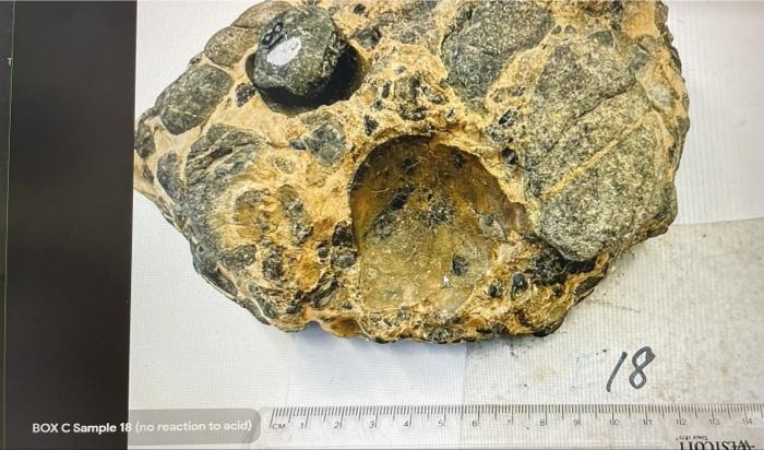 sample 1,18 what is the name of sedimentary rock + | Chegg.com