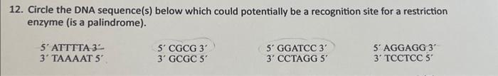Solved 12. Circle the DNA sequence(s) below which could | Chegg.com
