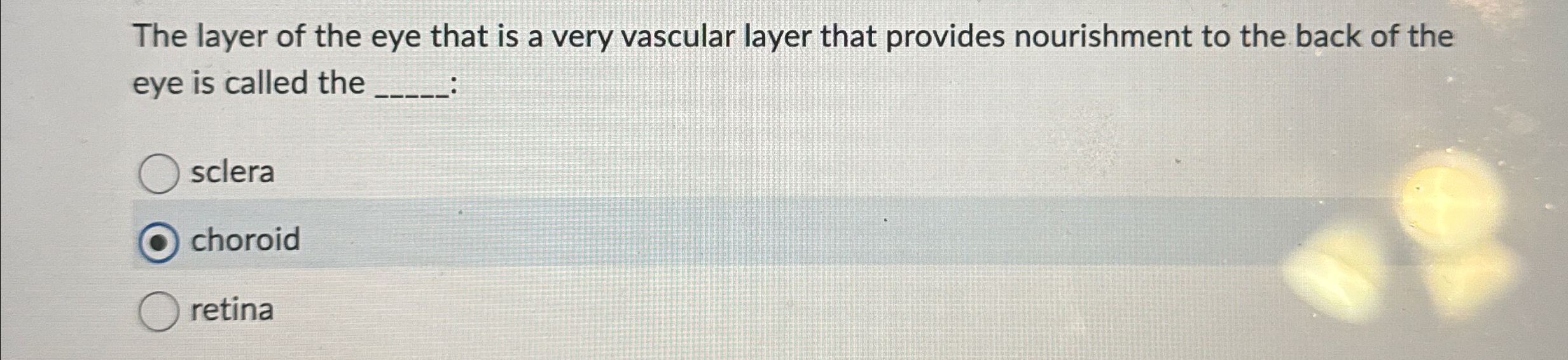 Solved The layer of the eye that is a very vascular layer | Chegg.com