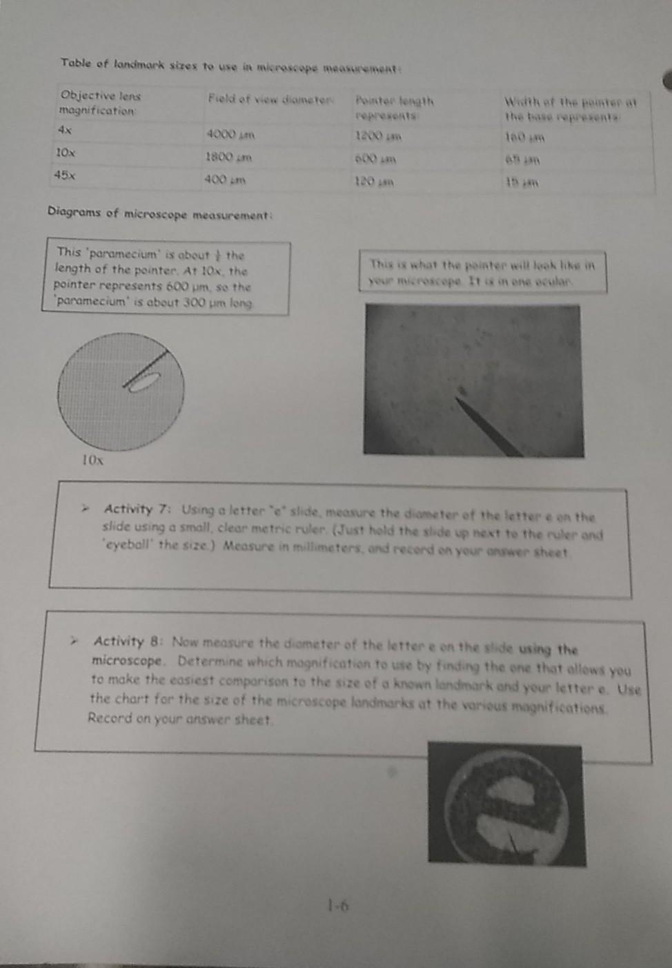 Diameter of letter e using ruler= ______ mm | Chegg.com