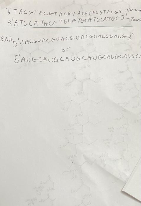 Solved the original sequence is underlined in green, how do | Chegg.com