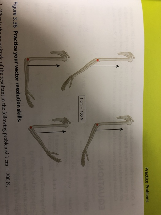 1. What are the values of the two muscle force vector | Chegg.com
