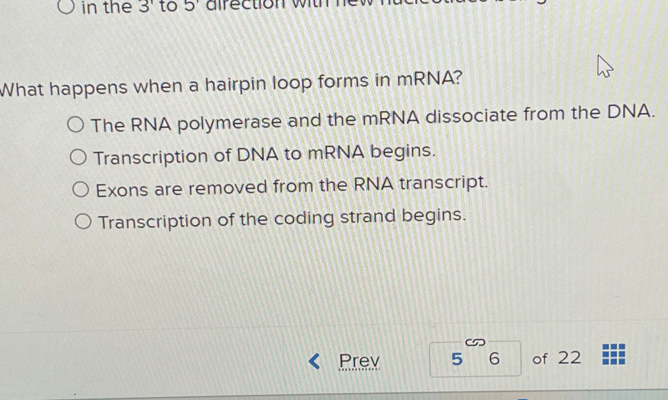 Solved What happens when a hairpin loop forms in mRNA?The | Chegg.com