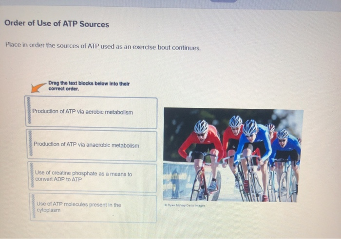 Solved Order of Use of ATP Sources Place in order the | Chegg.com