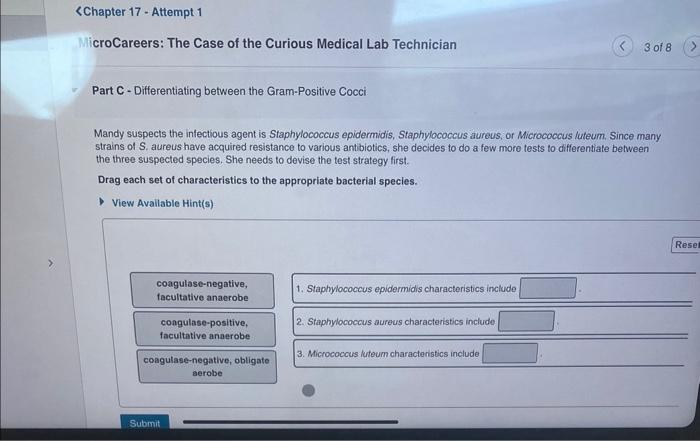 Solved icroCareers: The Case of the Curious Medical Lab | Chegg.com