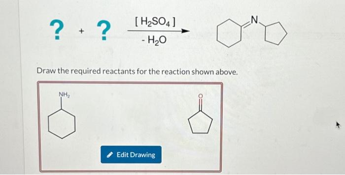 Solved ?+?−H2O[H2SO4] Draw the required reactants for the | Chegg.com