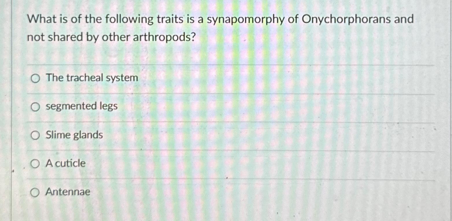 Solved What is of the following traits is a synapomorphy of | Chegg.com