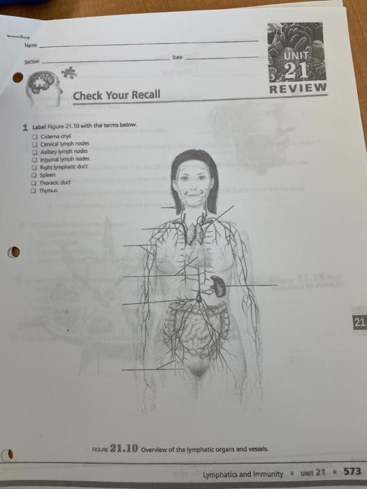 Solved Name Date UNIT Section 3.21 Check Your Recall REVIEW | Chegg.com