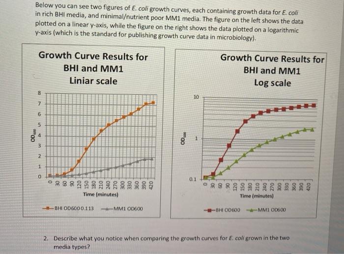 Below you can see two figures of E. coli growth | Chegg.com