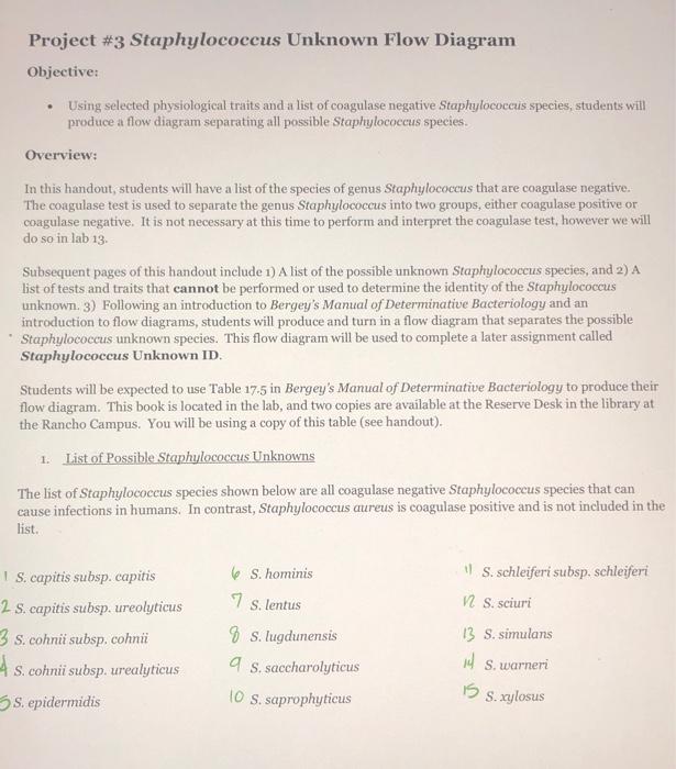 Project #3 Staphylococcus Unknown Flow Diagram | Chegg.com