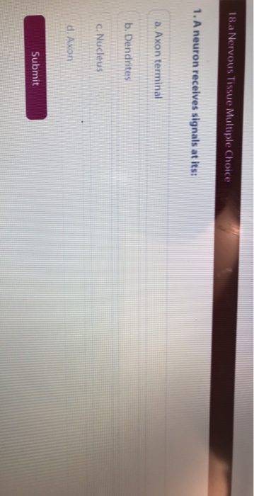 Solved 18.a Nervous Tissue Multiple Choice 1. A neuron | Chegg.com