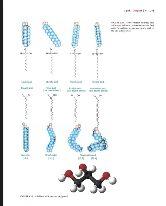 On page 241 of the textbook Human Biochemistry 2nd | Chegg.com