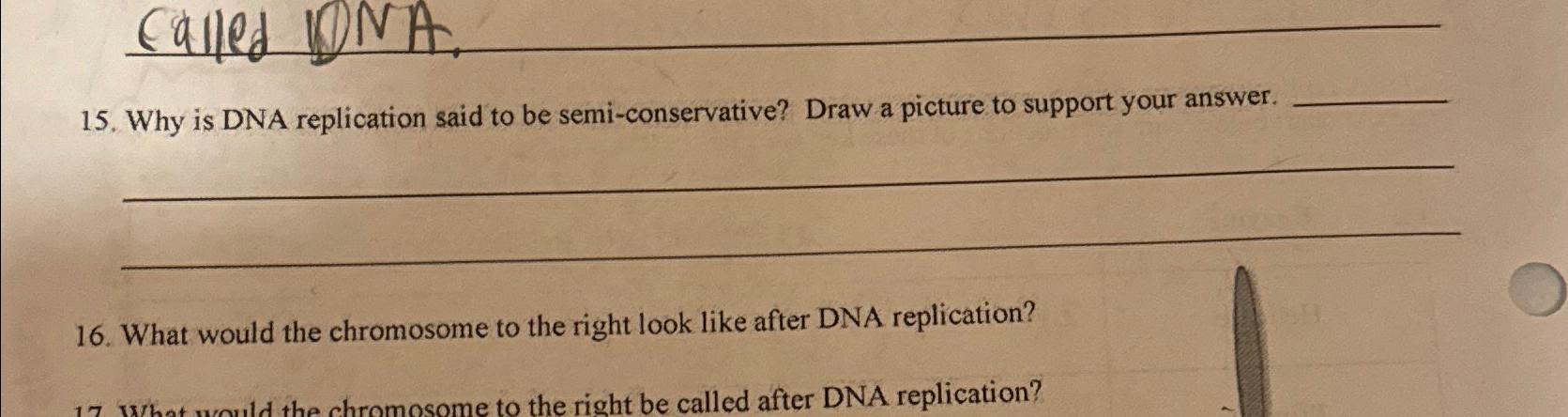 Solved called 1ONA.15. ﻿Why is DNA replication said to be | Chegg.com