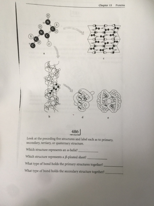 Solved Lipids Lipids Include Such Substances As Fats Chegg