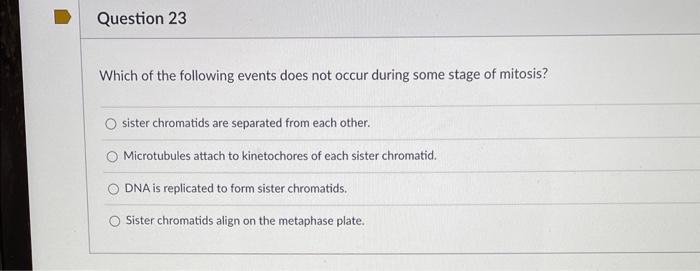 Solved The mosquito that causes Yellowfever is 2n=6. The | Chegg.com