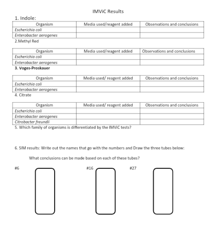 Solved IMVIC Results Media used/reagent added Observations | Chegg.com