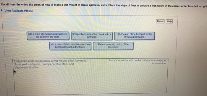 Solved Recall from the video the steps of how to make a wet | Chegg.com
