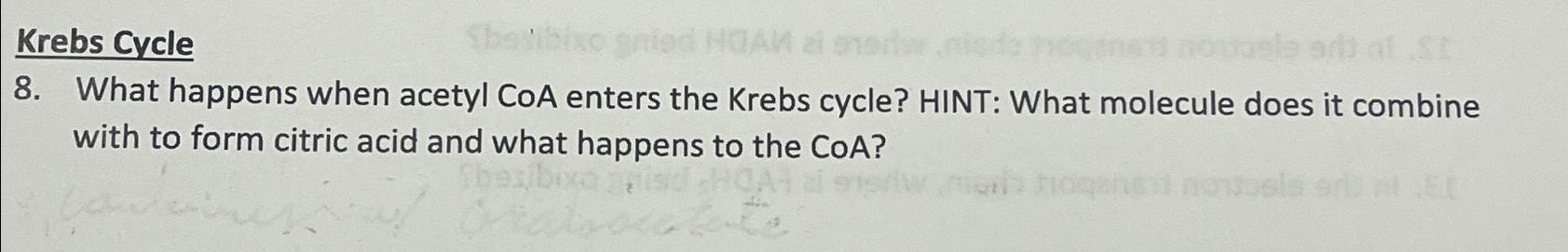 Solved Krebs Cycle8 ï What Happens When Acetyl Coa Enters Chegg
