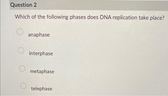 Solved Which of the following phases does DNA replication | Chegg.com