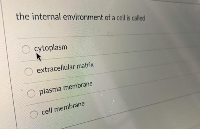 Solved the internal environment of a cell is called | Chegg.com
