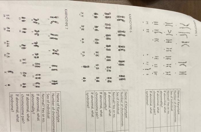 Solved \begin{tabular}{|l|l|l|} \hline \multicolumn{1}{|c|}{ | Chegg.com