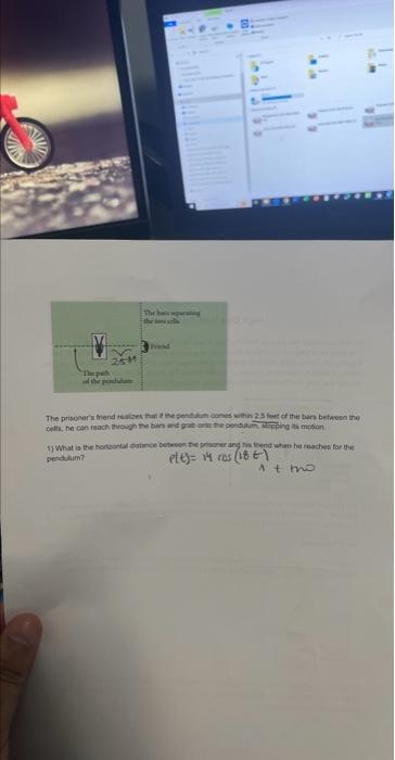 pendium? P(t)=14ros(18,t) A+ln0 | Chegg.com