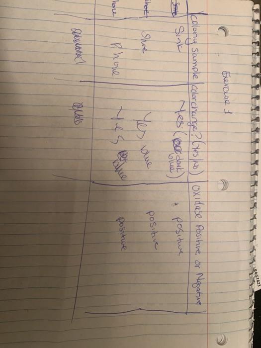 v- Which bacterial plates contained oxidase positive | Chegg.com