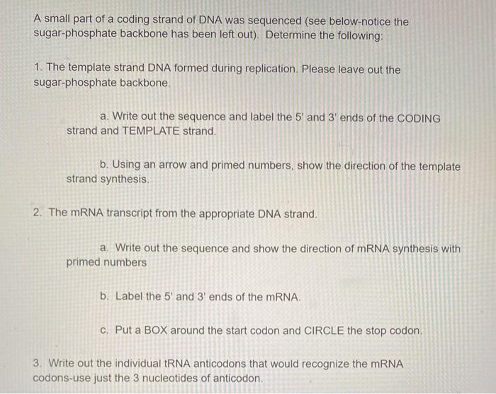 Solved A small part of a coding strand of DNA was sequenced | Chegg.com