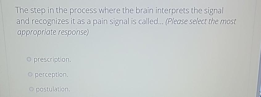 Solved The step in the process where the brain interprets | Chegg.com