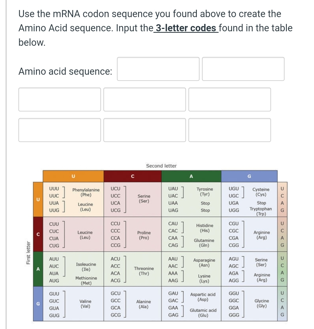 Solved Use the mRNA codon sequence you found above to create | Chegg.com