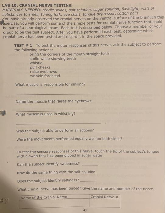 Solved LAB 10: CRANIAL NERVE TESTING MATERIALS NEEDED: | Chegg.com