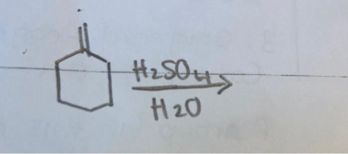 Solved H2O H2SO4 | Chegg.com