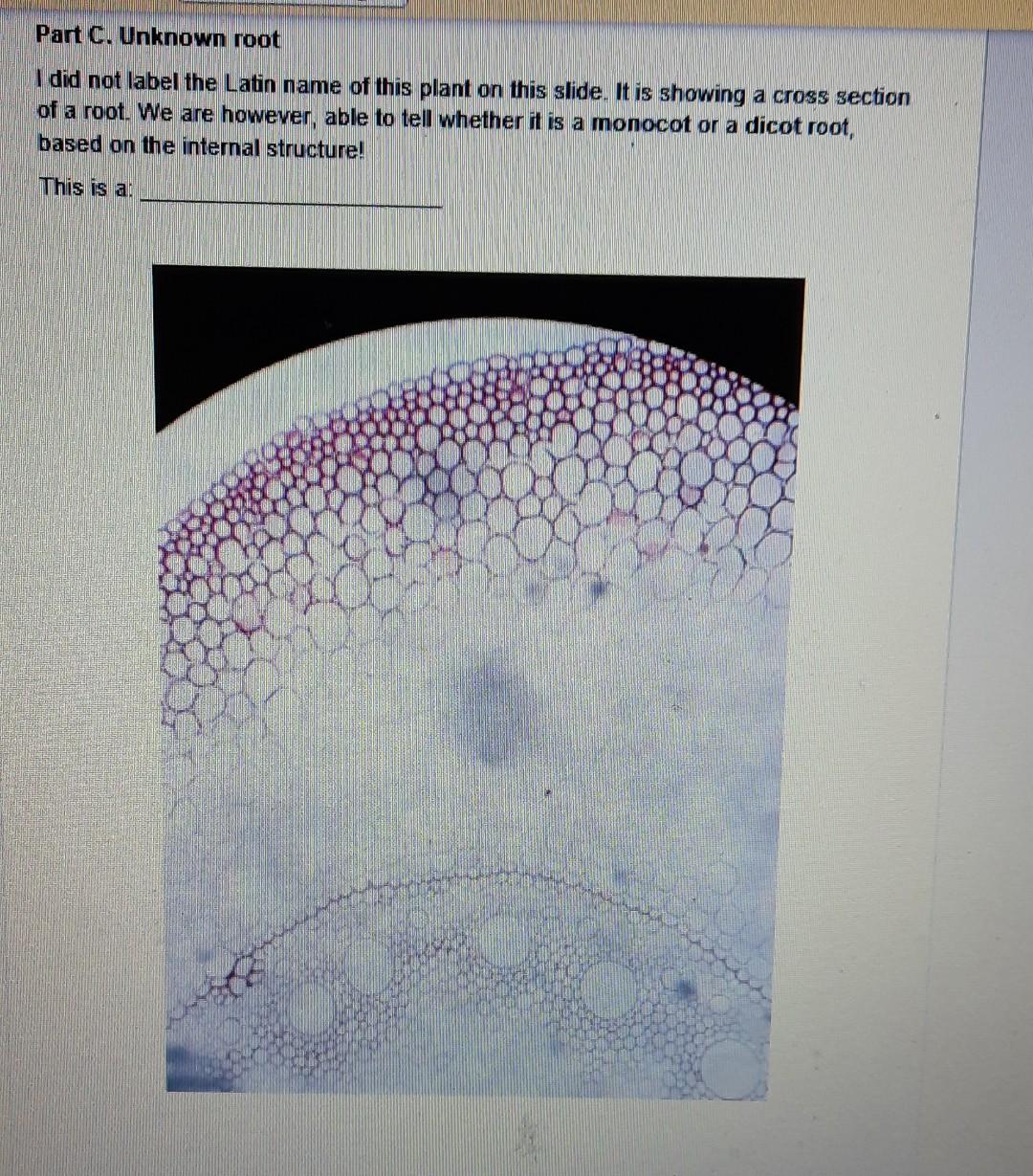 Solved 1 2 3 4 Fill the table – main regions in the Vicia | Chegg.com