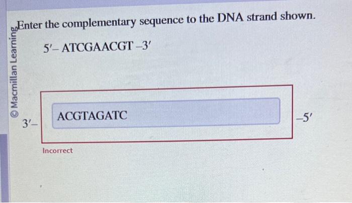 Solved 0 Enter the complementary sequence to the DNA strand | Chegg.com