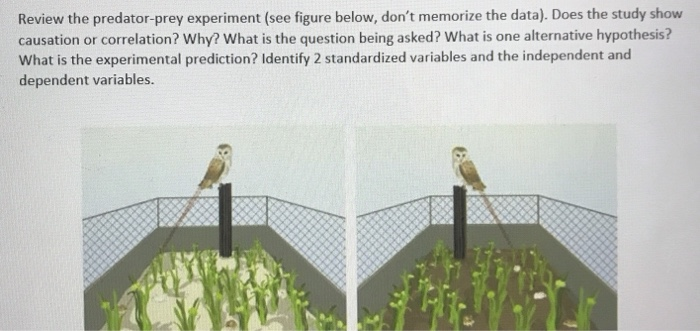 Review the predator-prey experiment (see figure | Chegg.com