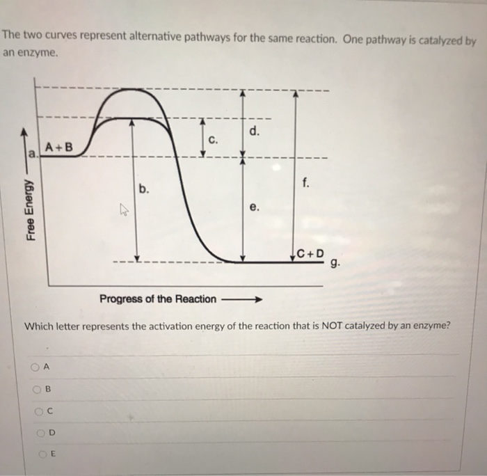 Solved The two curves represent alternative pathways for the | Chegg.com