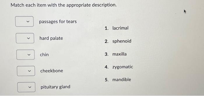 Solved Match each item with the appropriate description. | Chegg.com