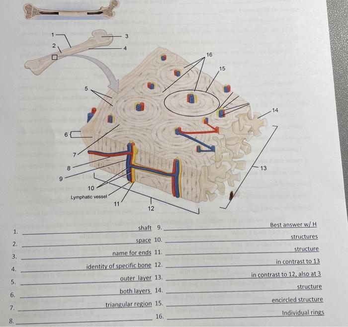 Solved 1. 2. space 10. 3. name for ends 11. 4. identity of | Chegg.com
